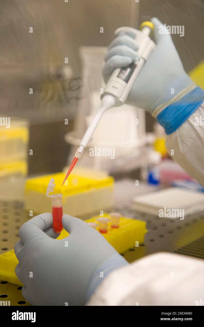 Preparing Bio-Rad conjugation, Laboratory of Bacteriology, Departamento ...