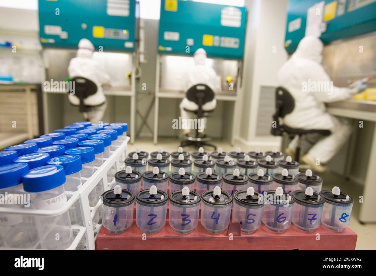 Mad cow disease and avian flu research team, Laboratory of Bio-Safety ...