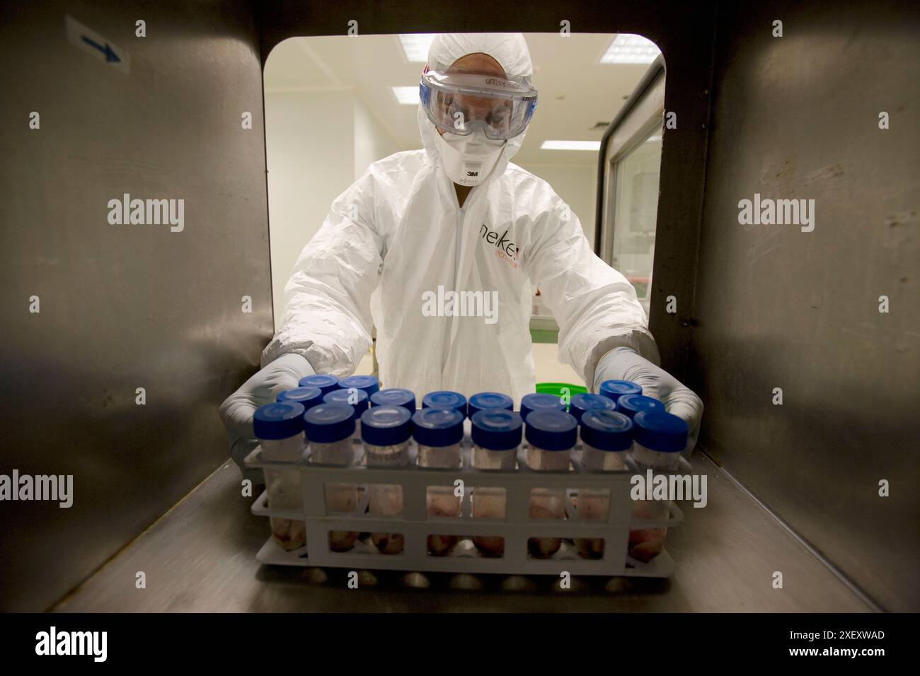 Necropsy room hi-res stock photography and images - Alamy