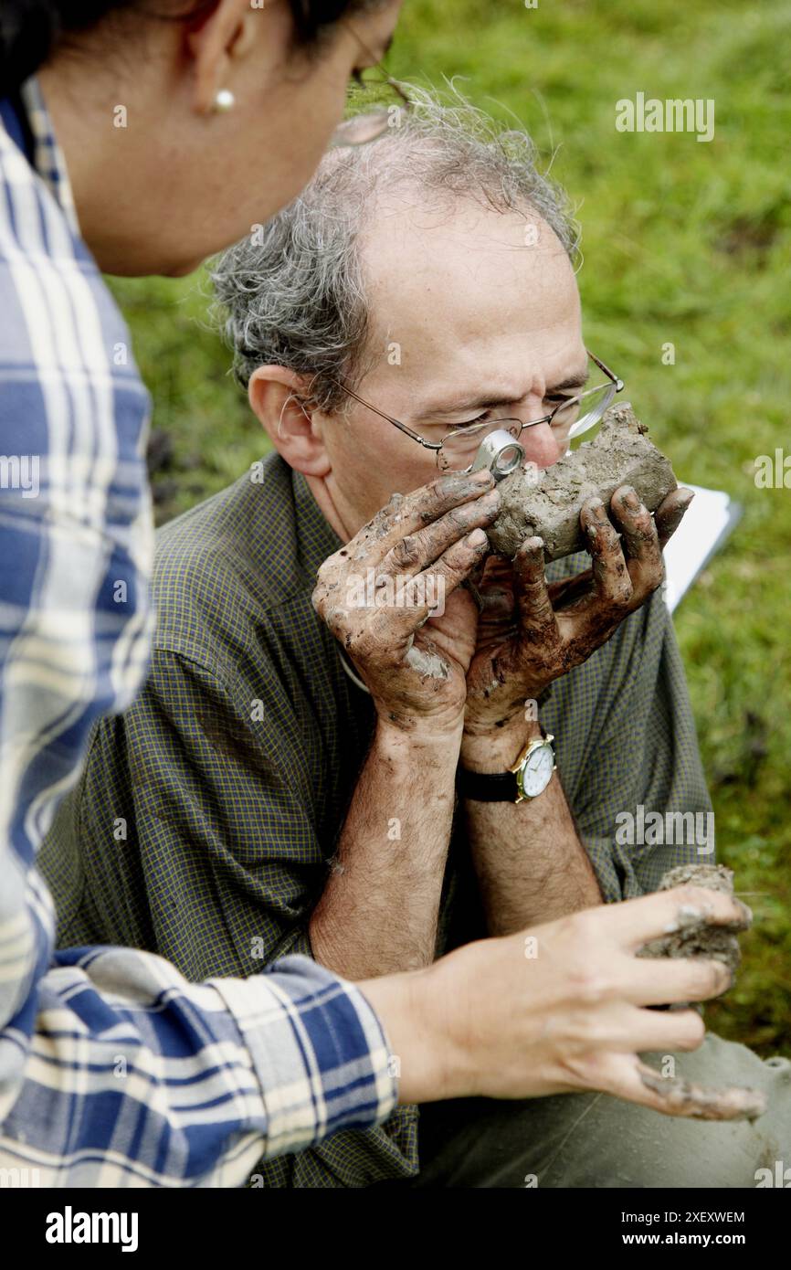 Macrofossils hi-res stock photography and images - Alamy
