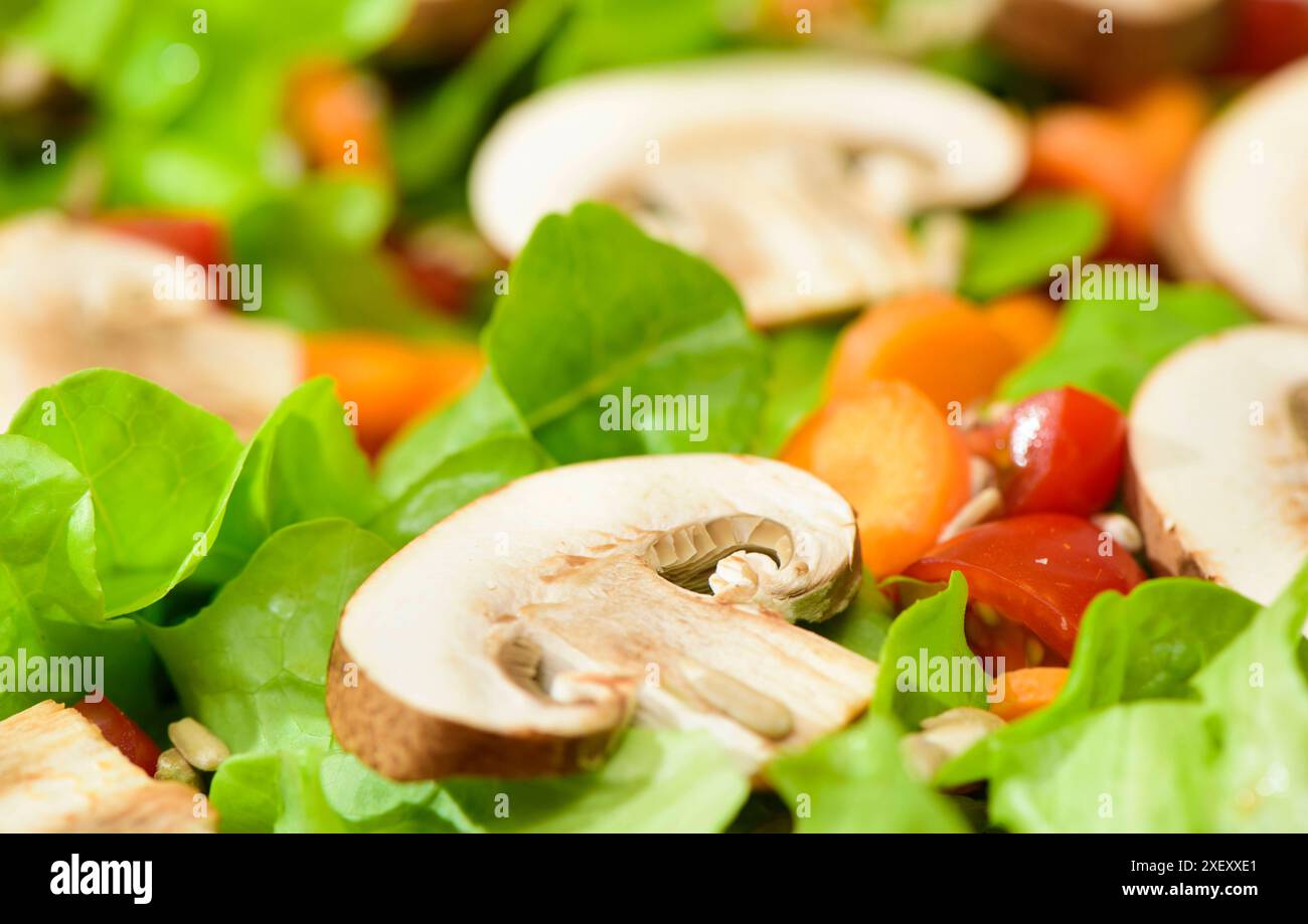 Frischer italienischer Salat Frischer mediterraner italienischer Salat ...
