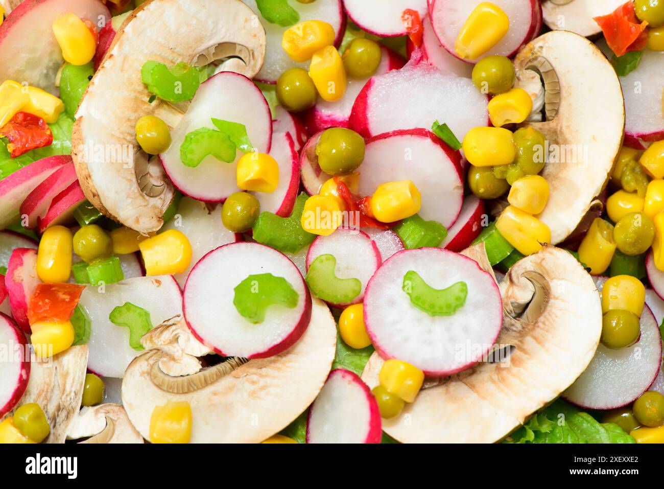 Frischer italienischer Salat Frischer mediterraner italienischer Salat ...