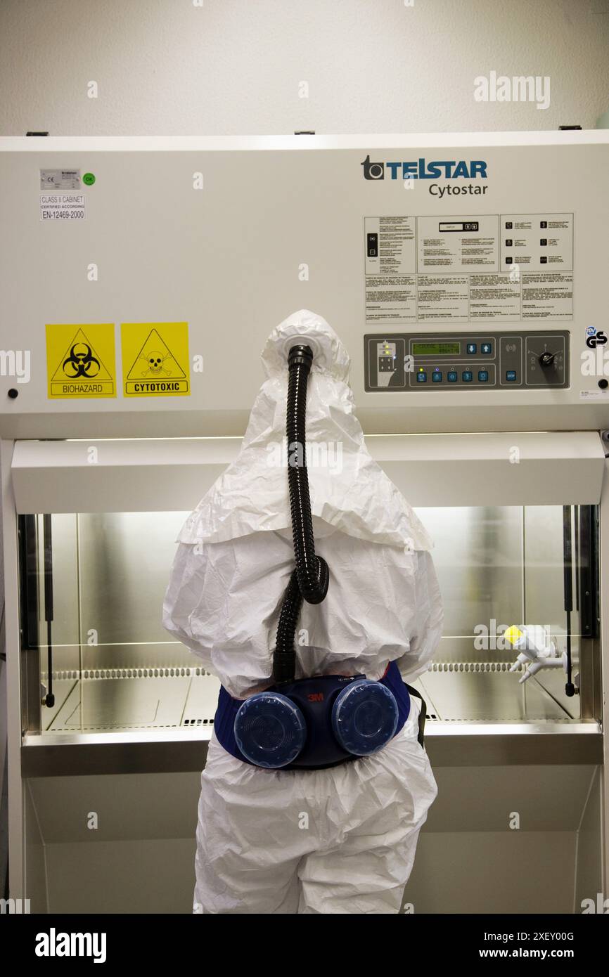 Microbiological culture, working in laminar flow cabinet using ...