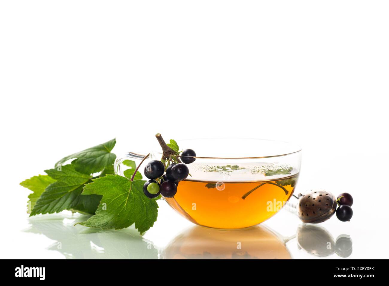herbal tea from currant leaves and berries in a cup and in a teapot ...