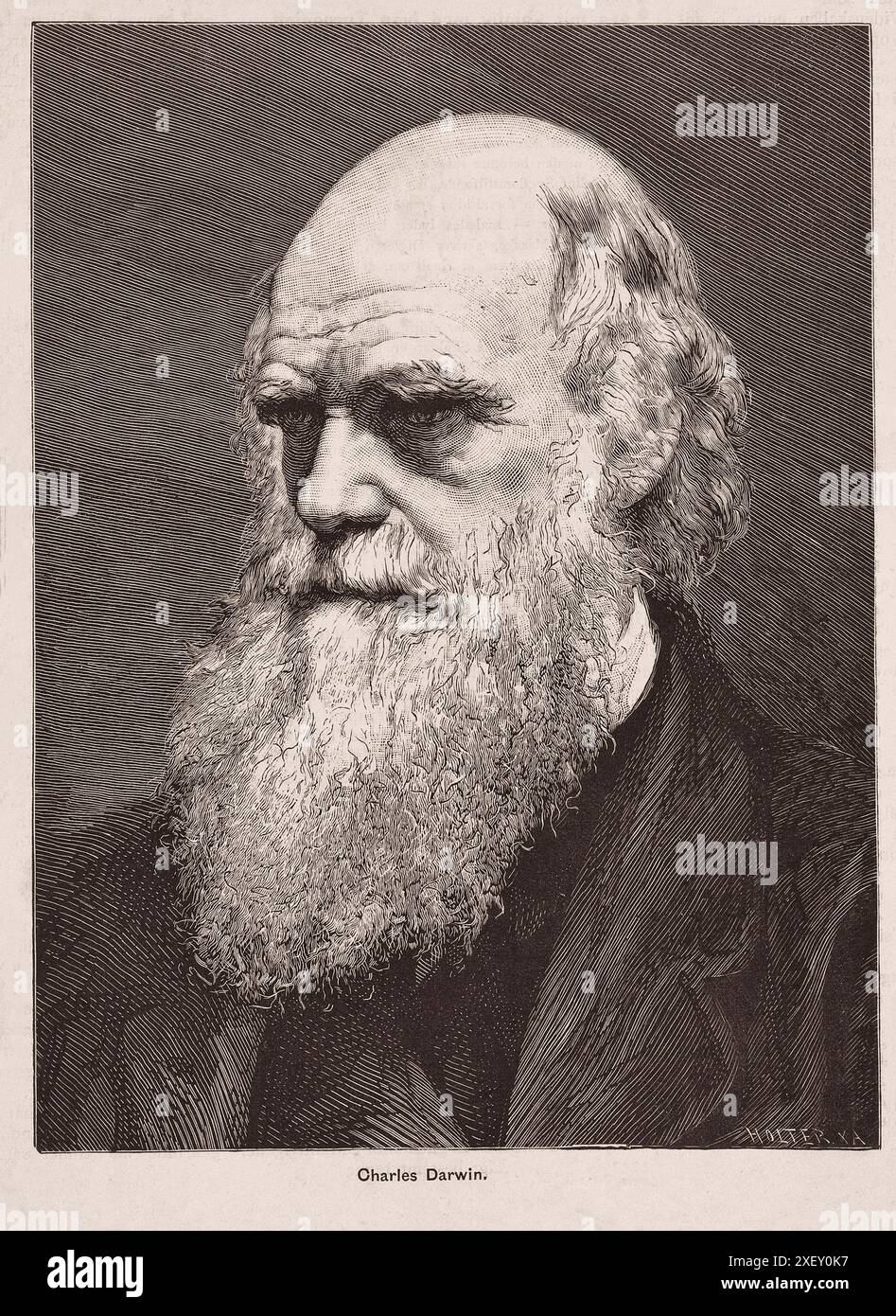 Portrait of Charles Darwin. Charles Robert Darwin (1809 – 1882) was an ...