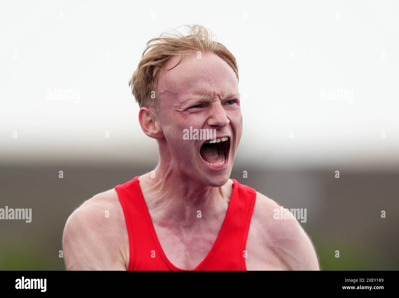 June wilkinson hi-res stock photography and images - Alamy