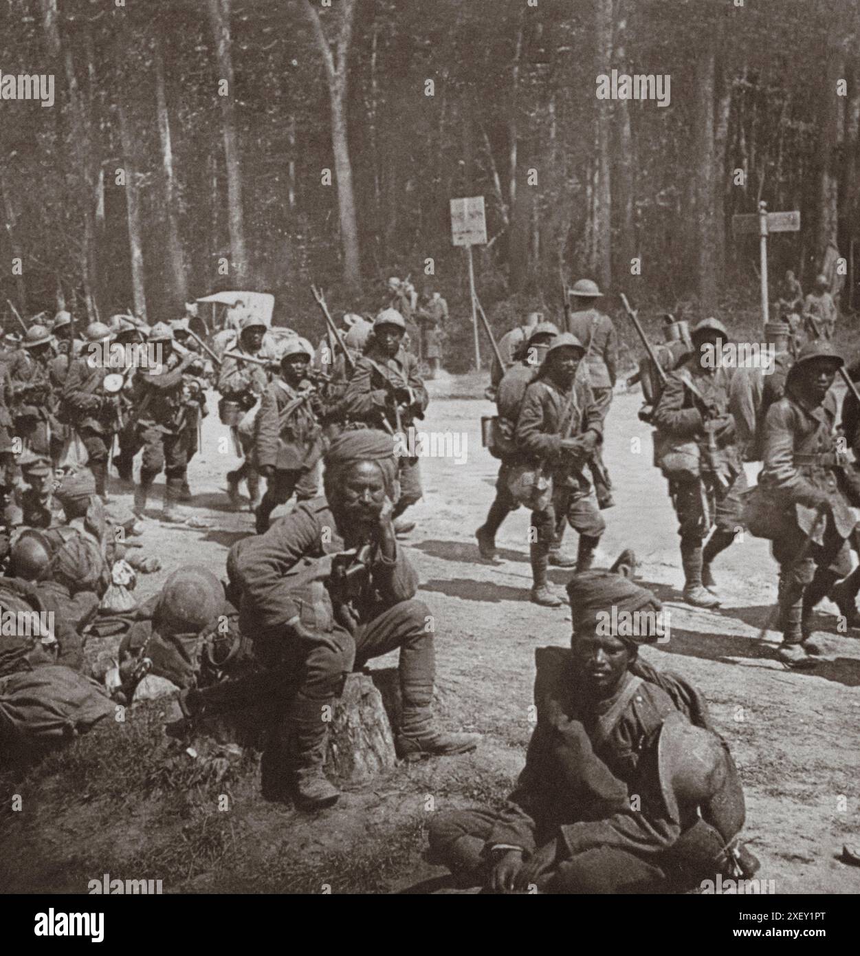 Marne counter offensive hi-res stock photography and images - Alamy