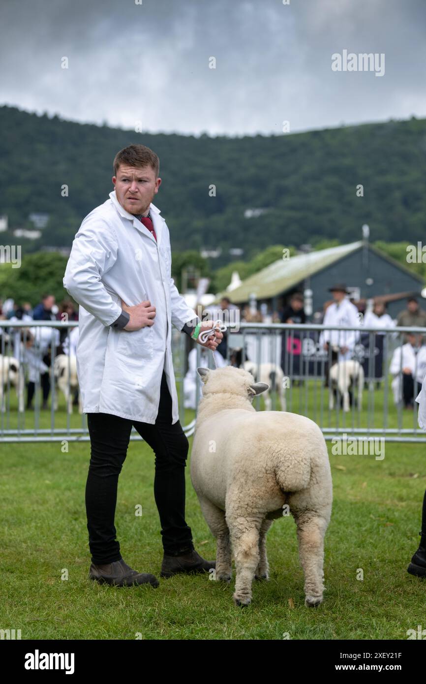 Farmers showing sheep ar the Royal Three Counties Show held at Malvern ...