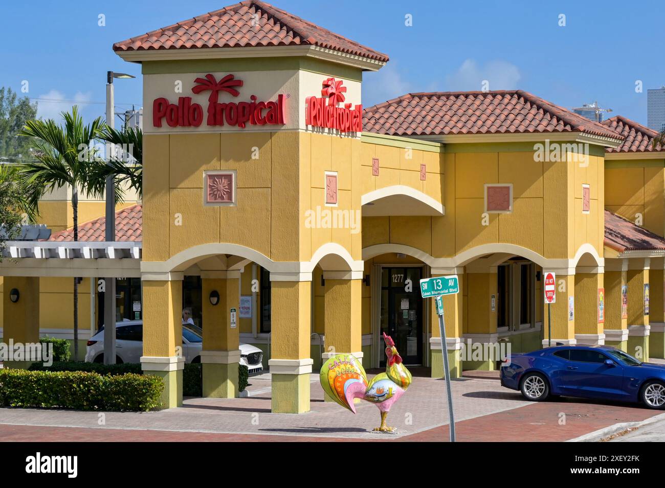 Pollo tropica hi-res stock photography and images - Alamy