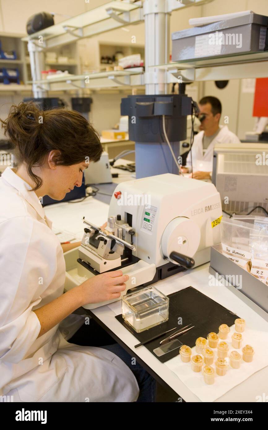 Microtome, Fishing biology laboratory. Polishing and reading of ...