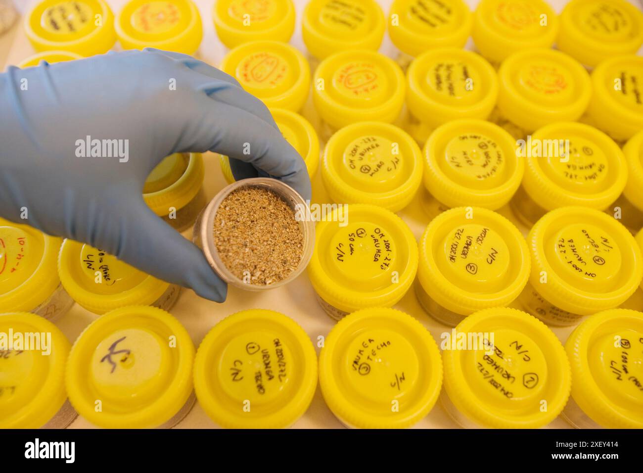 Sediments and ecotoxicology laboratories. Sediments tests (sludge, mud ...