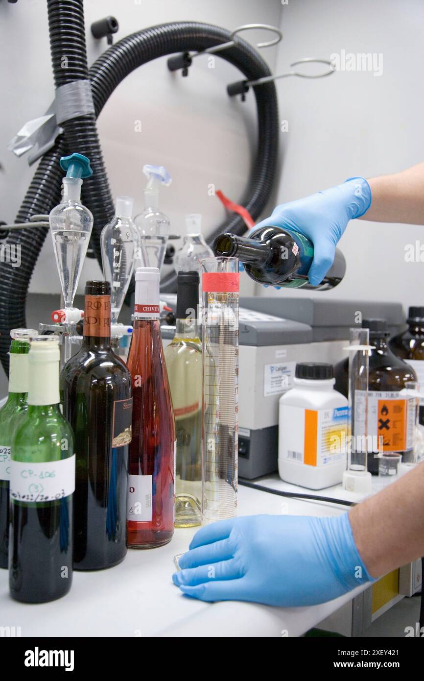 Physics and chemistry laboratory. Tests for polluting agents in wine ...