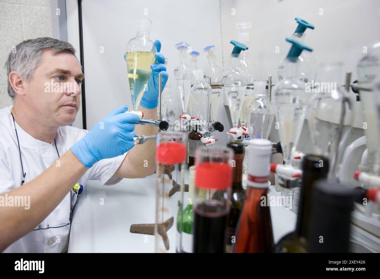 Physics and chemistry laboratory. Tests for polluting agents in wine ...
