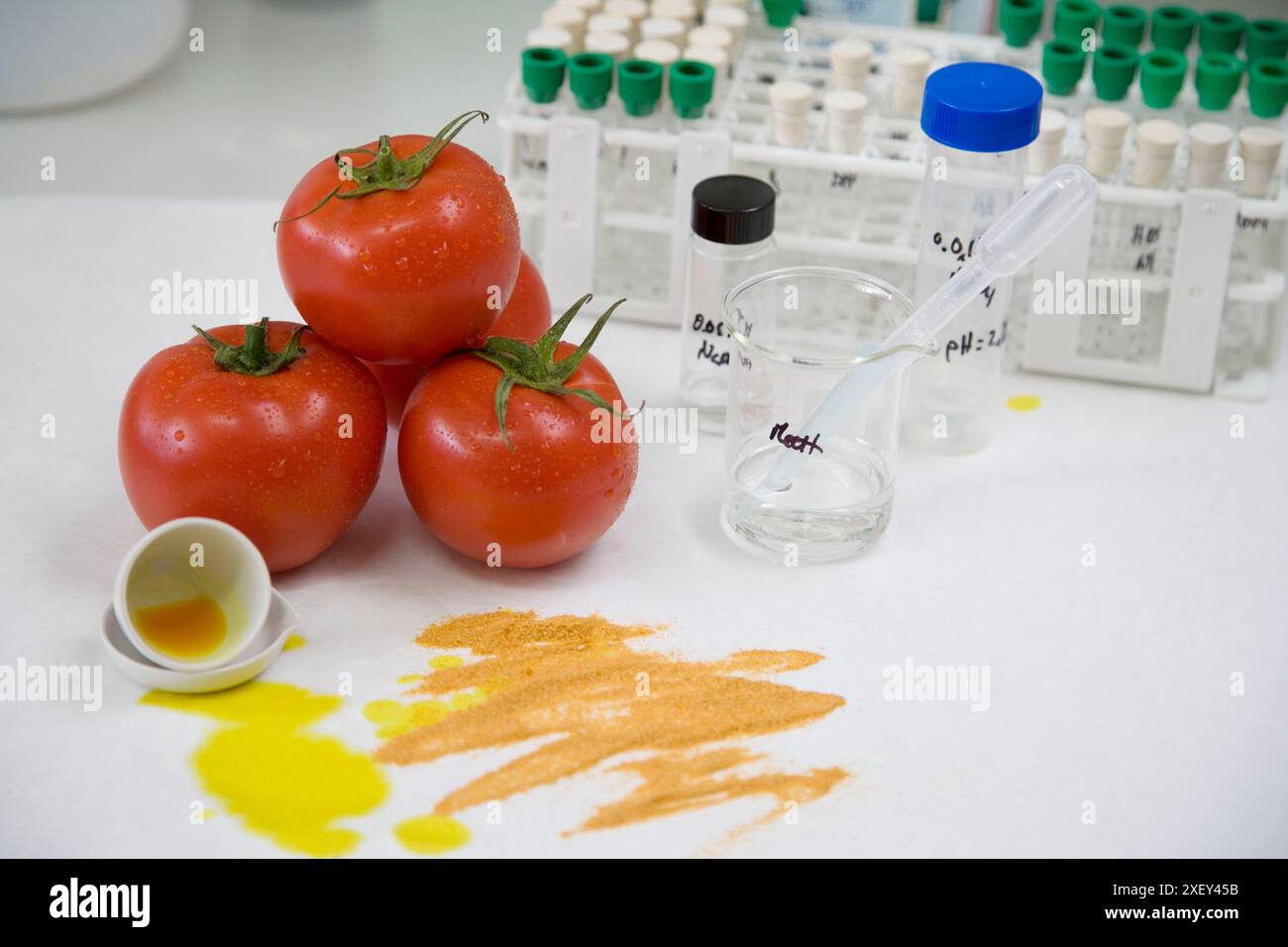 Research and Development laboratory. Functional biomolecules in food ...