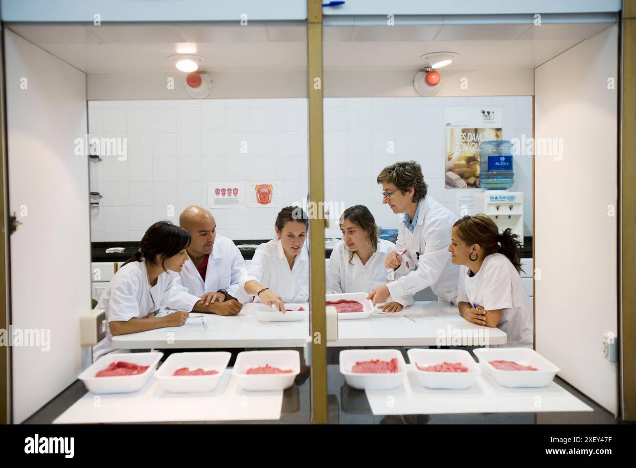 Sensor Laboratory. Sensor analysis. Meat products taste. AZTI-Tecnalia ...