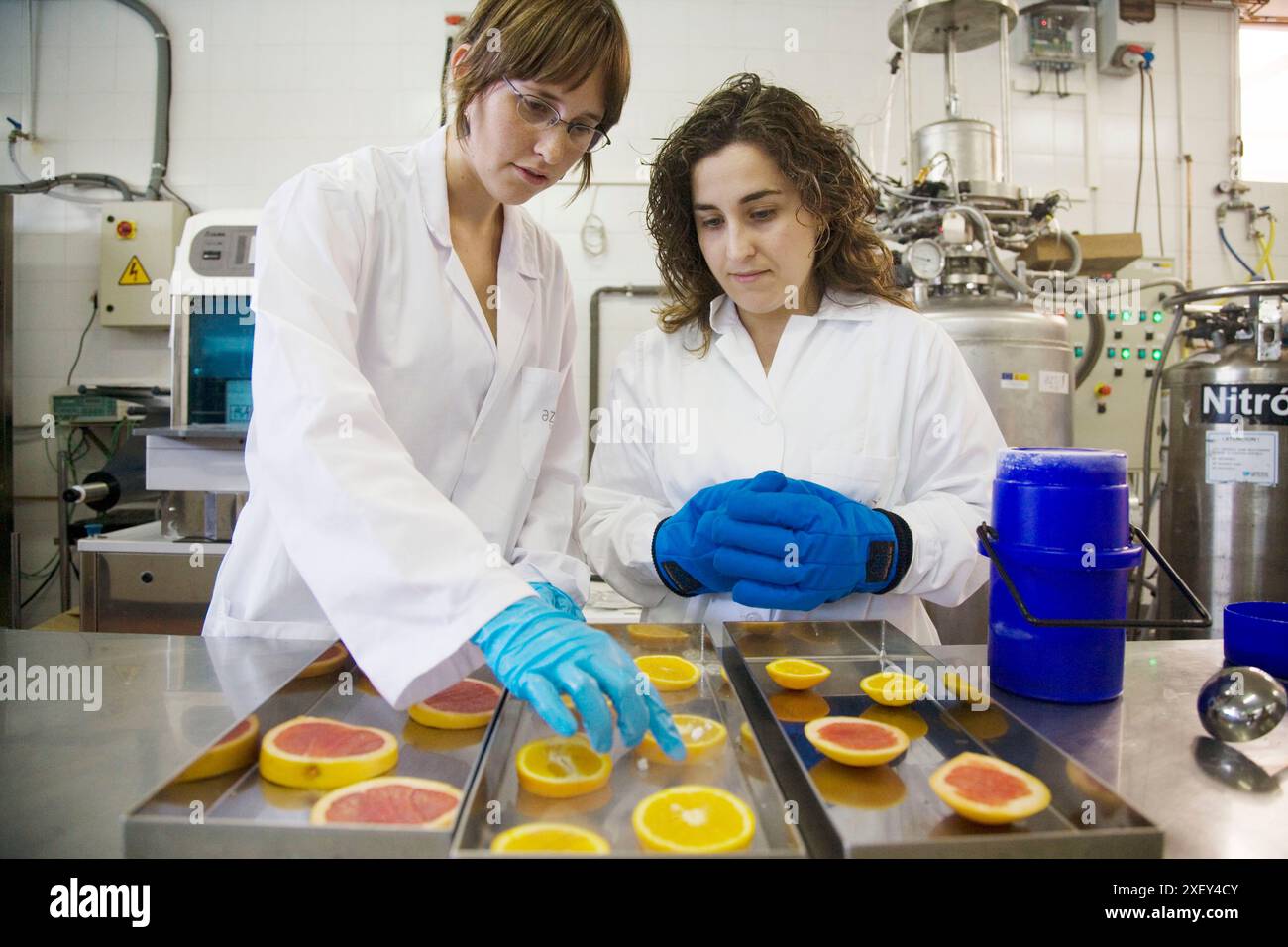 Pilot plant. Experimenting with liquid nitrogen in food. Oranges ...