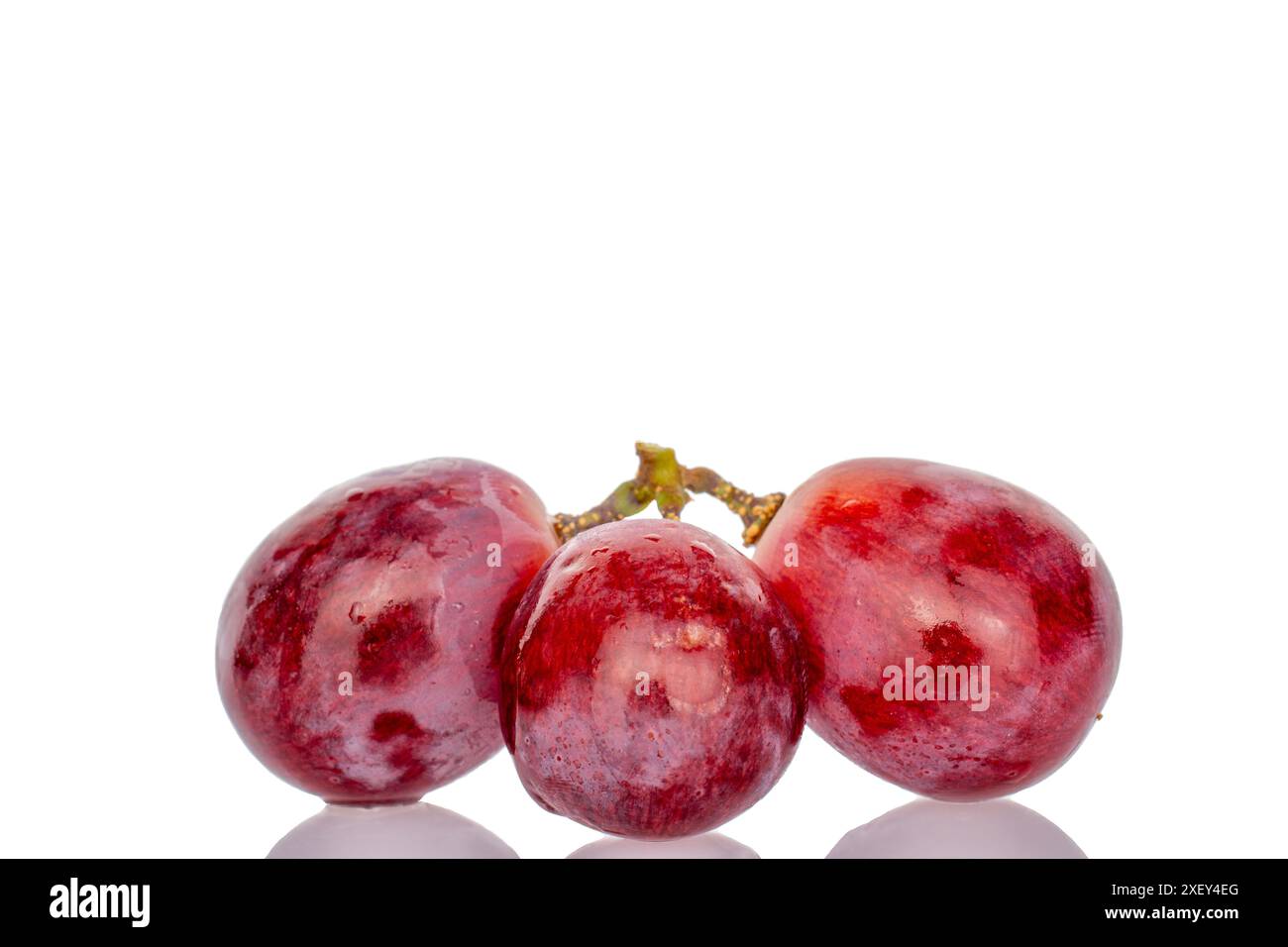 Three berries of juicy grapes, macro, isolated on white background ...