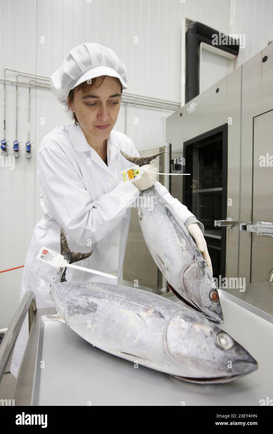 Researcher applying CAS (Cells Alive System) freezing technology to ...