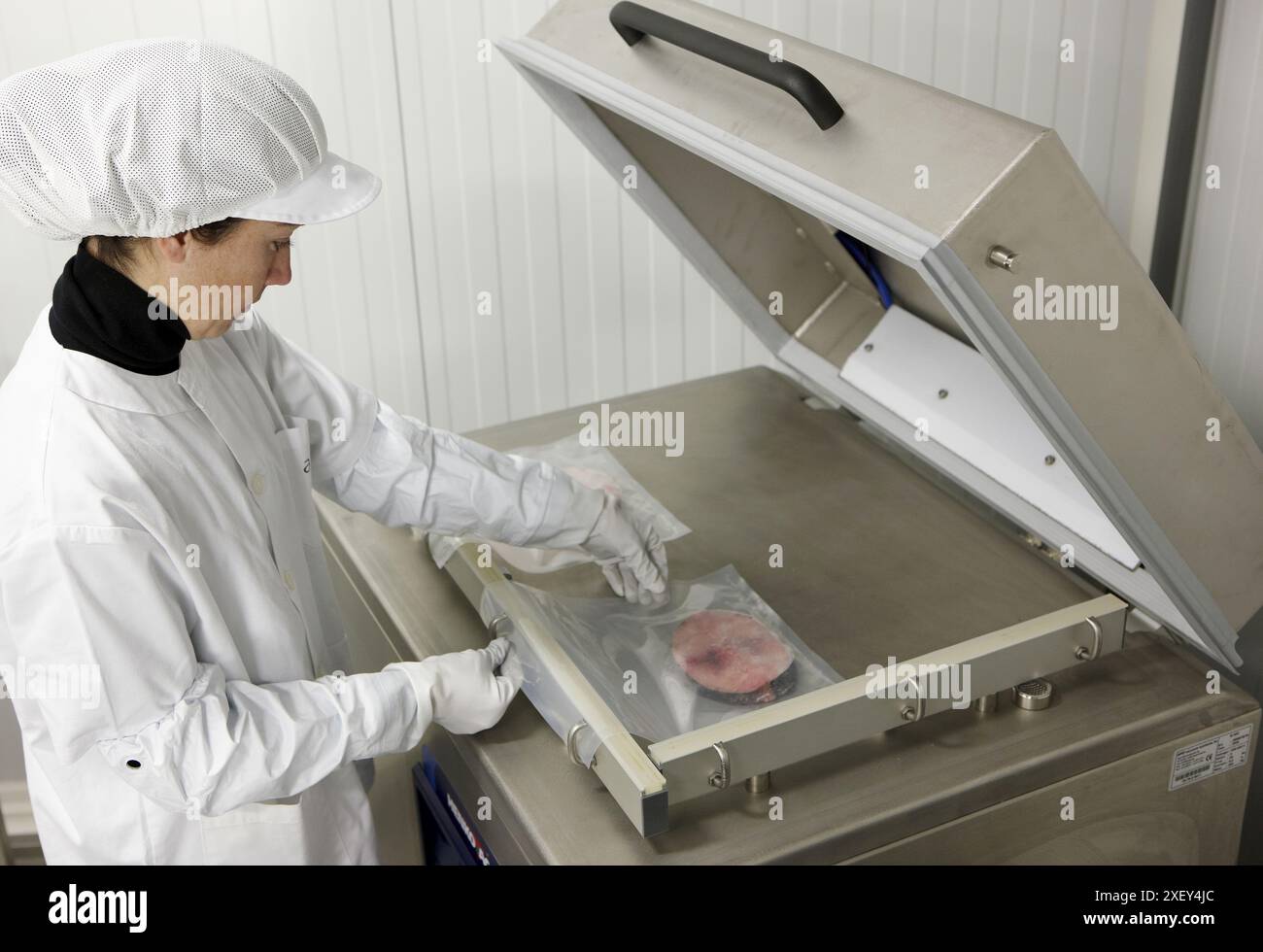 Researcher vacuum packing, slice of tuna fish, pilot plant, AZTI ...