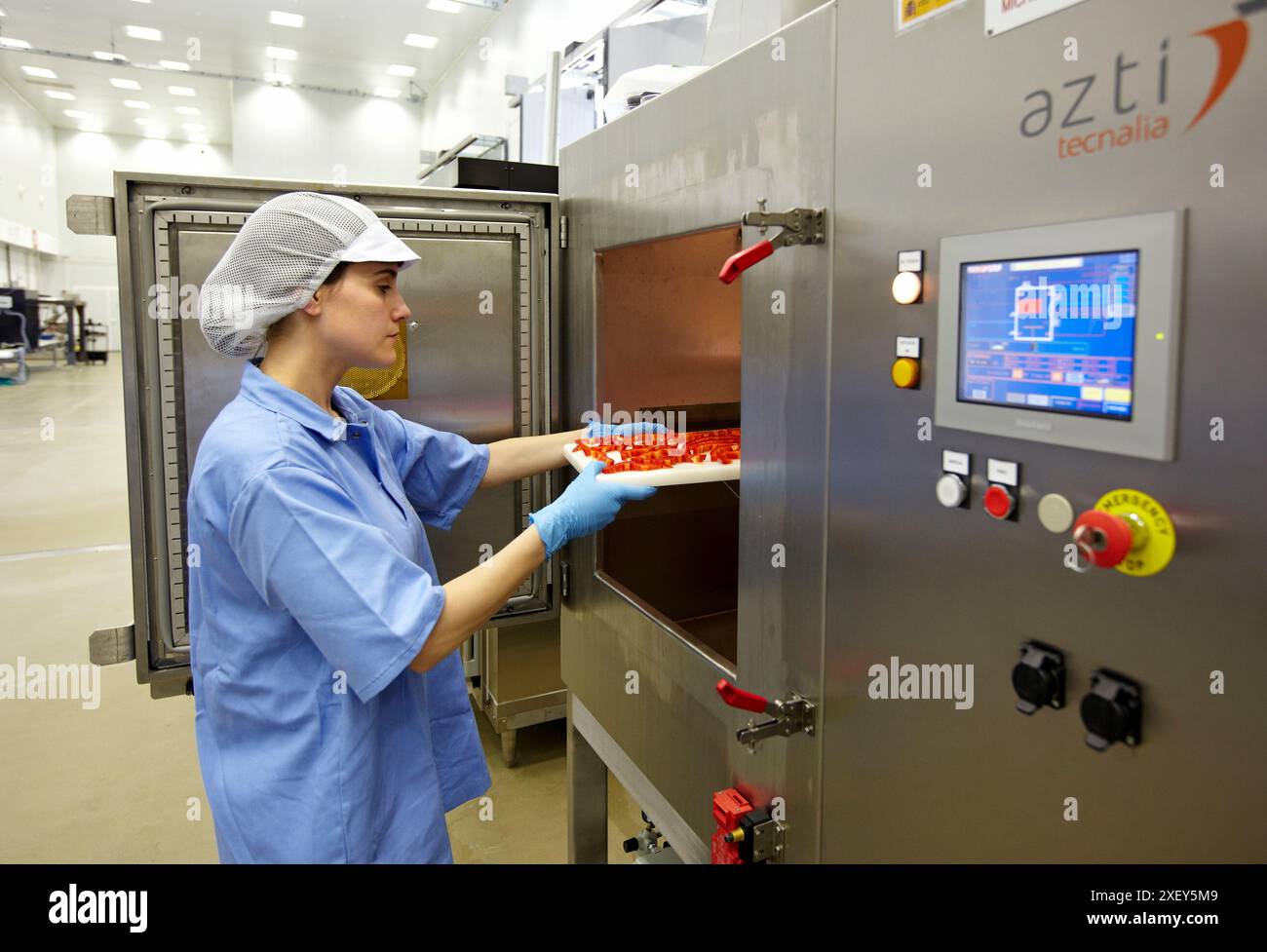 Microwave technology for food processing: pasteurization, thawing ...