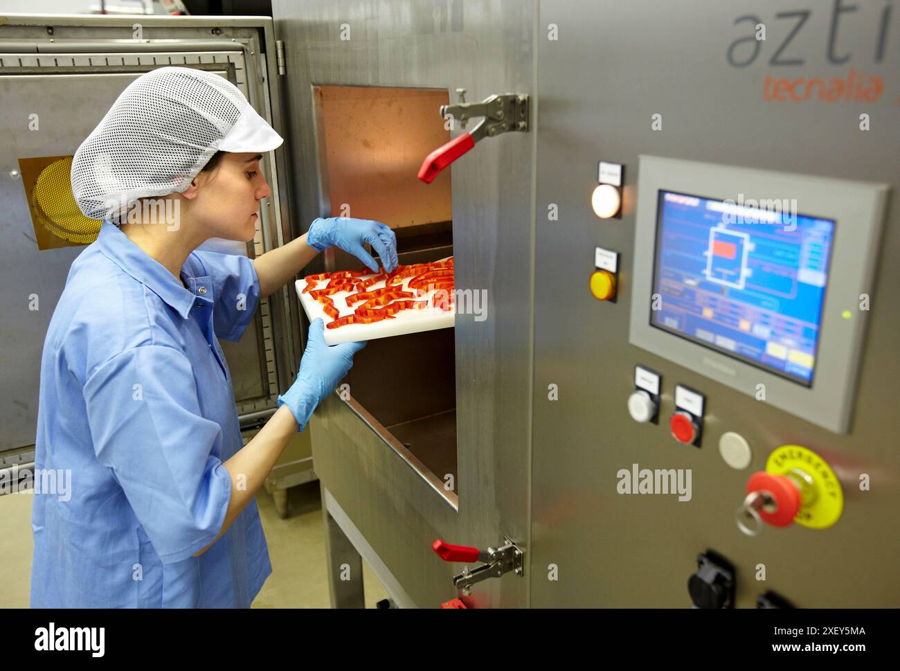Microwave technology for food processing: pasteurization, thawing ...