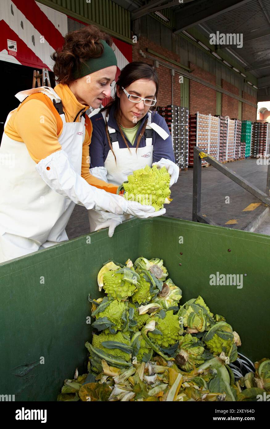 Azti-Tecnalia researchers, Cleanfeed project (prevention of vegetal ...