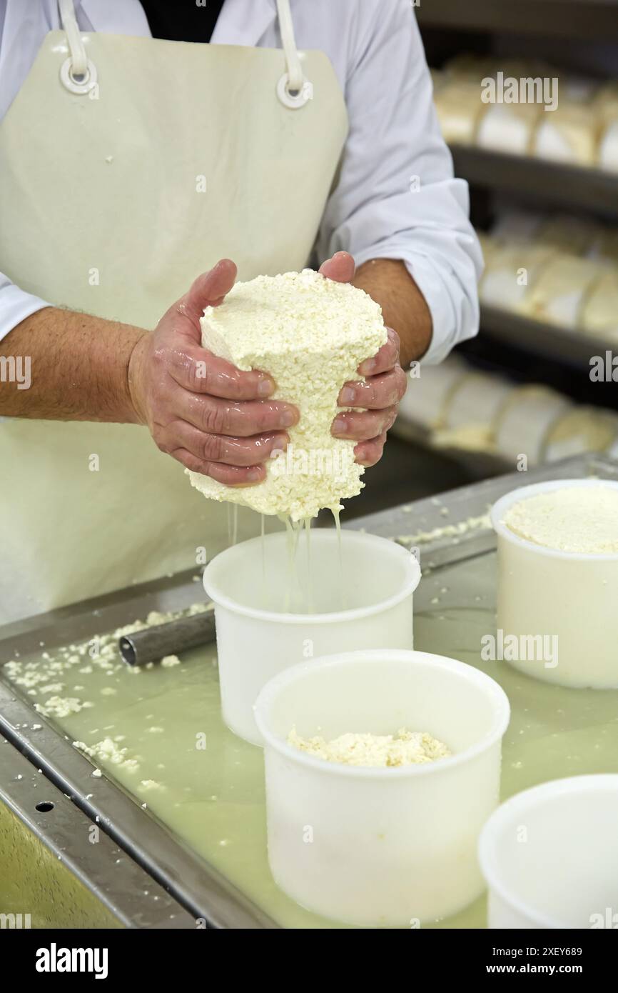 Making cheese from sheep¥s milk Latxa Designation of origin ¥Idiazabal ...