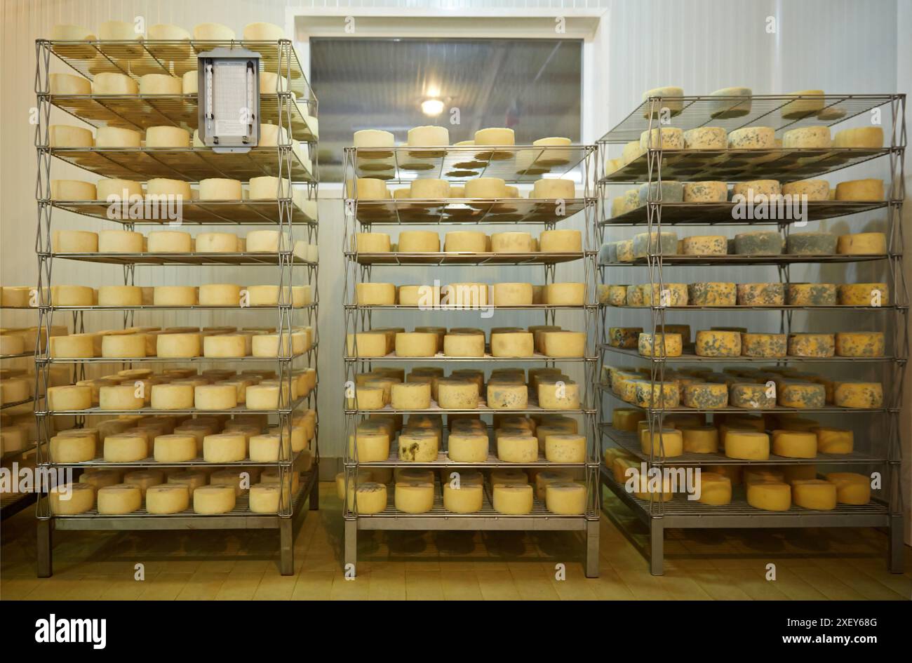 Making cheese from sheep¥s milk Latxa Designation of origin ¥Idiazabal ...