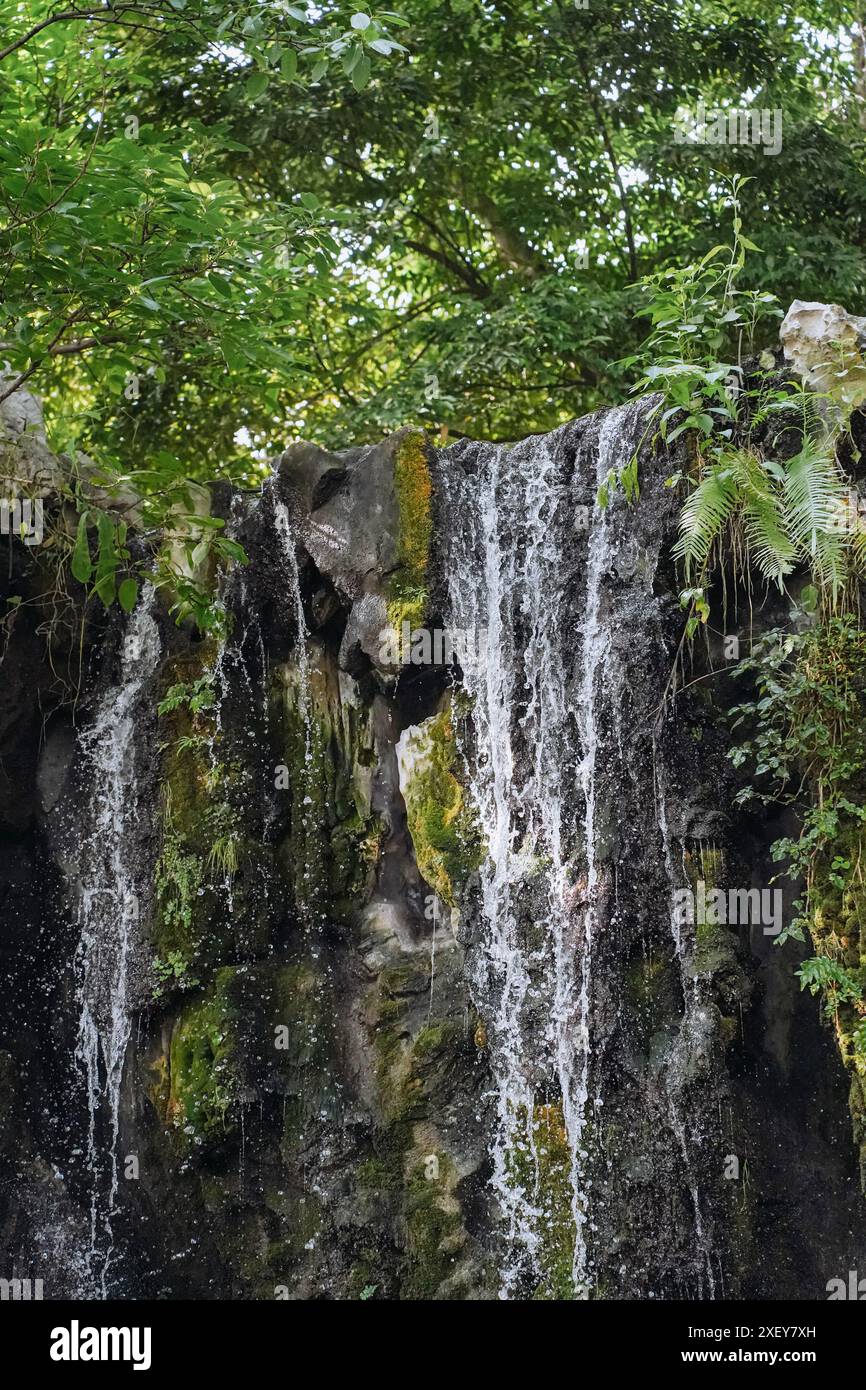 Tree between waterfalls .Small waterfall in park in Chengdu Stock Photo ...