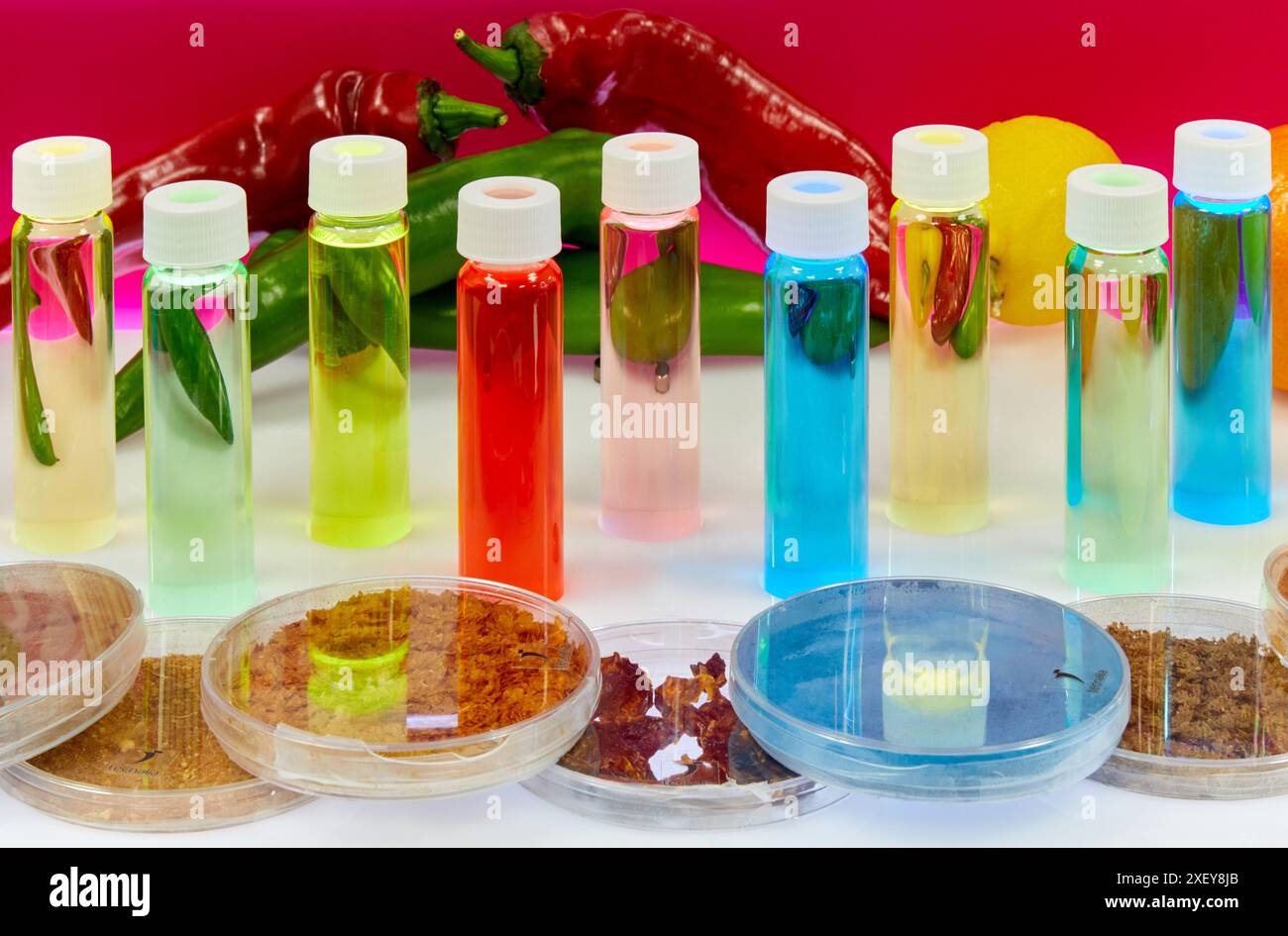 Bioactive compounds from the food industry. Extracts from raw materials ...