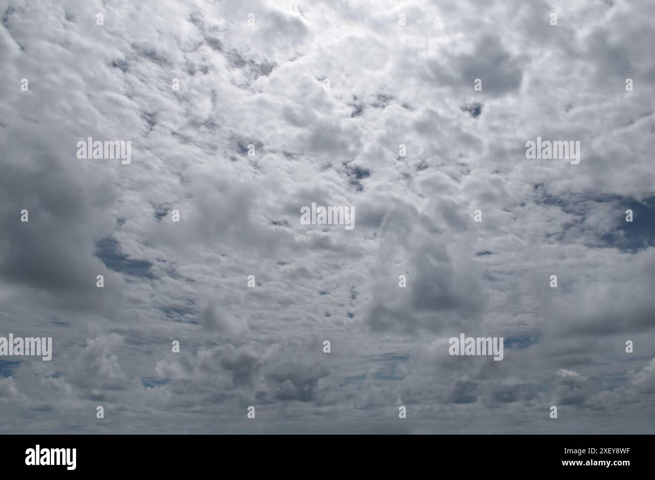 Sky with gray cumulus clouds. Dramatic cloud cover Stock Photo - Alamy