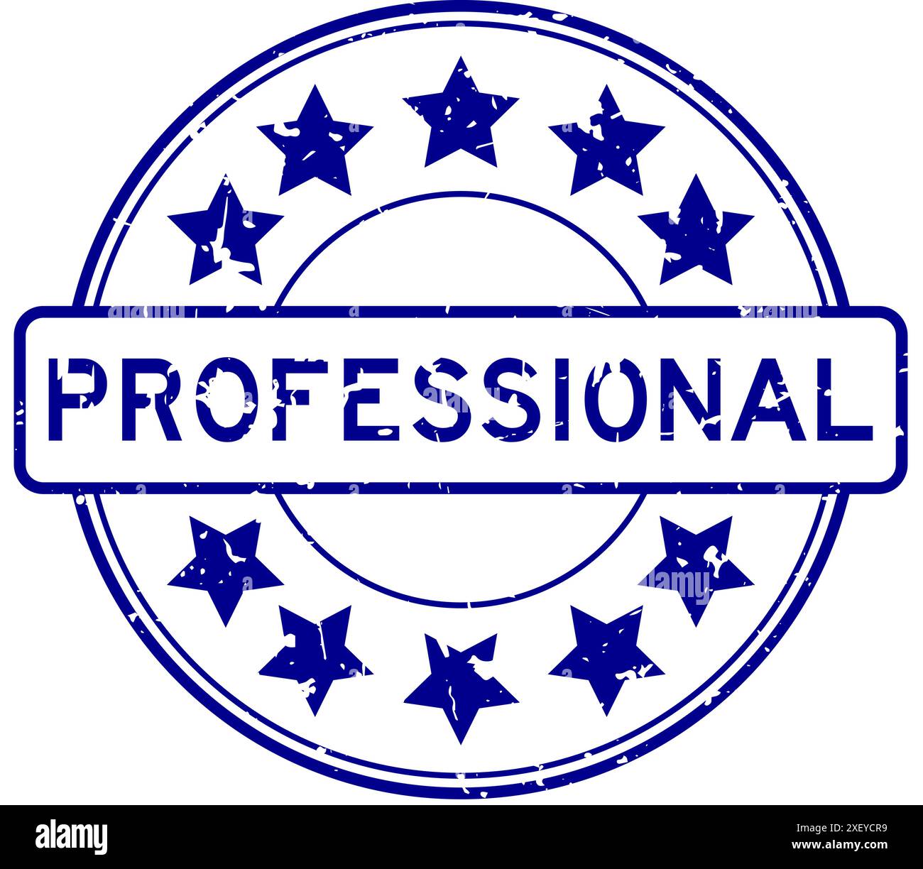 Grunge blue professional word with star icon round rubber seal stamp on ...