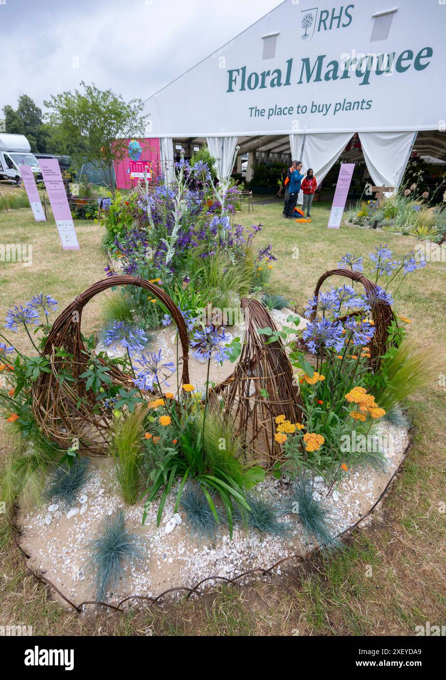 Richmond upon Thames, London, UK. The worlds largest flower show, RHS ...