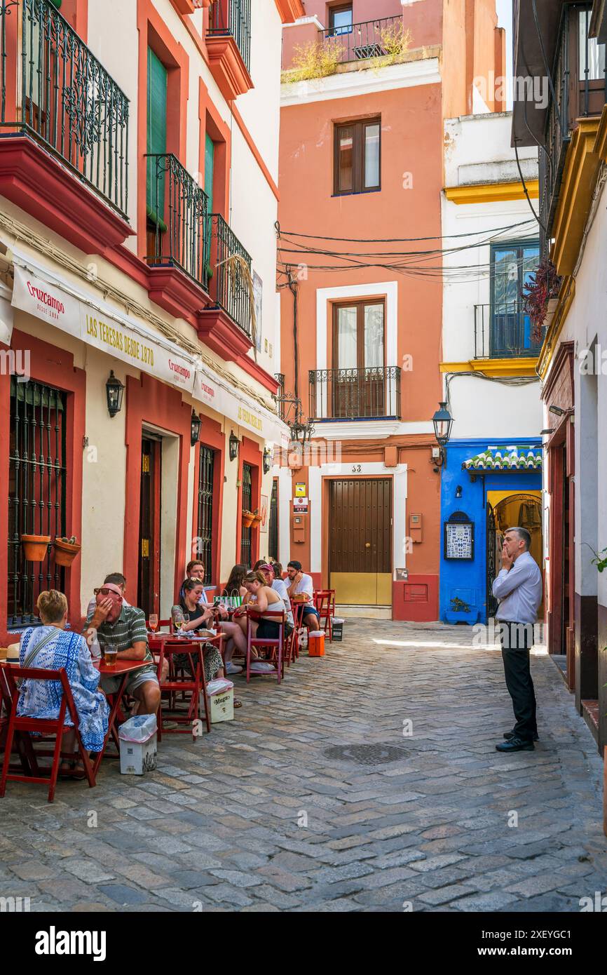 Sidewalk cafe, Santa Cruz district, Seville, Andalusia, Spain Stock ...