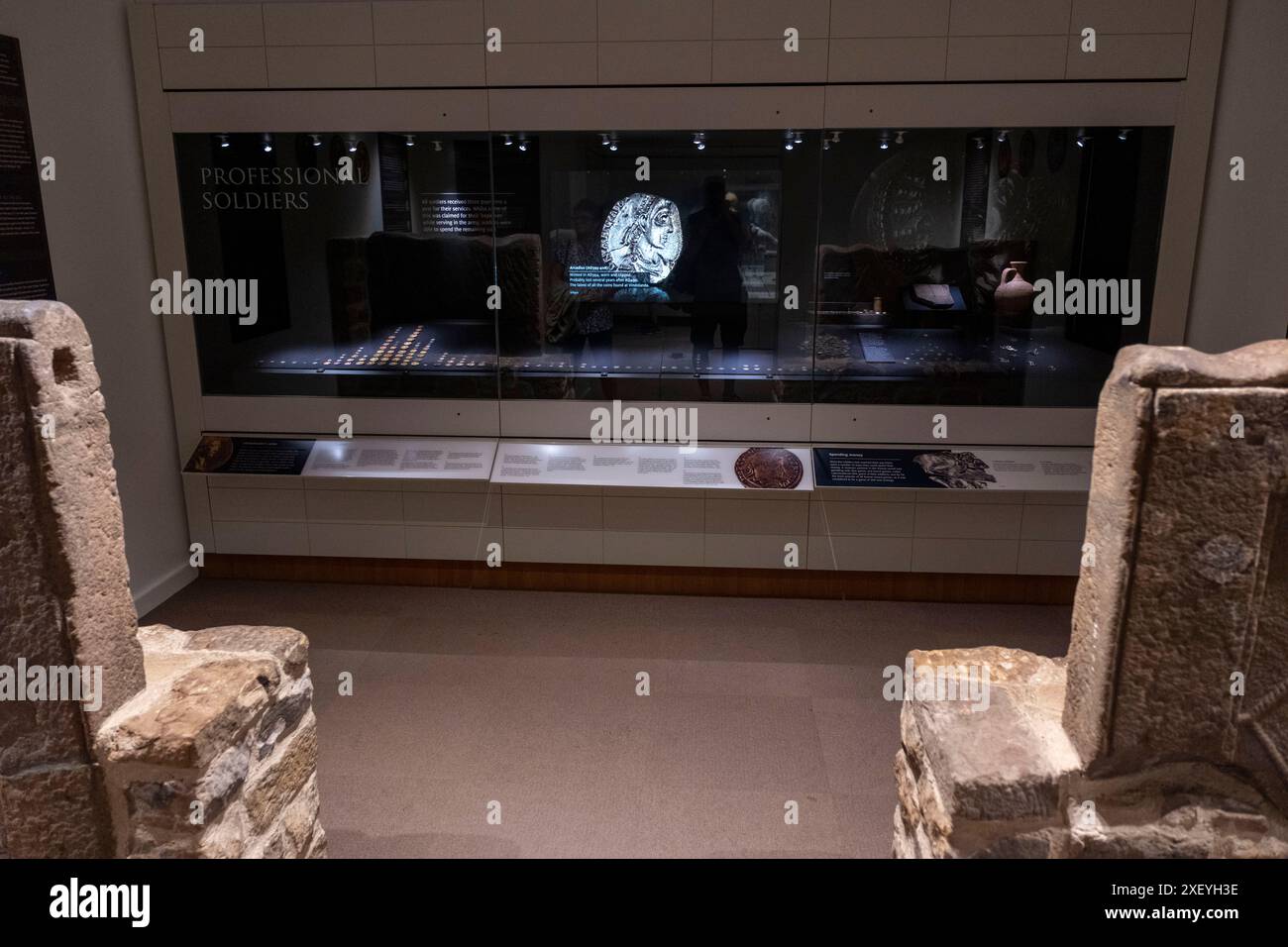Roman coins in a display cabinet, Vindolanda museum, Northumberland ...