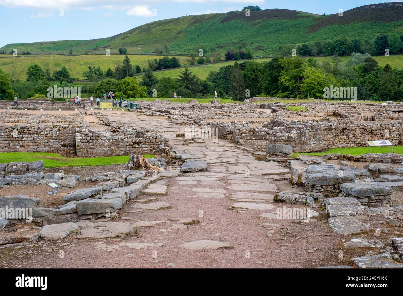 Vindolanda archaeologists hi-res stock photography and images - Alamy