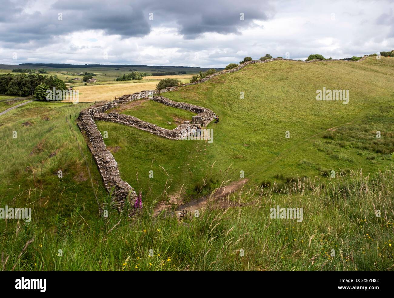 Milecastle 42- Hadrians wall, Cawfield Quarry, Northumberland, England ...