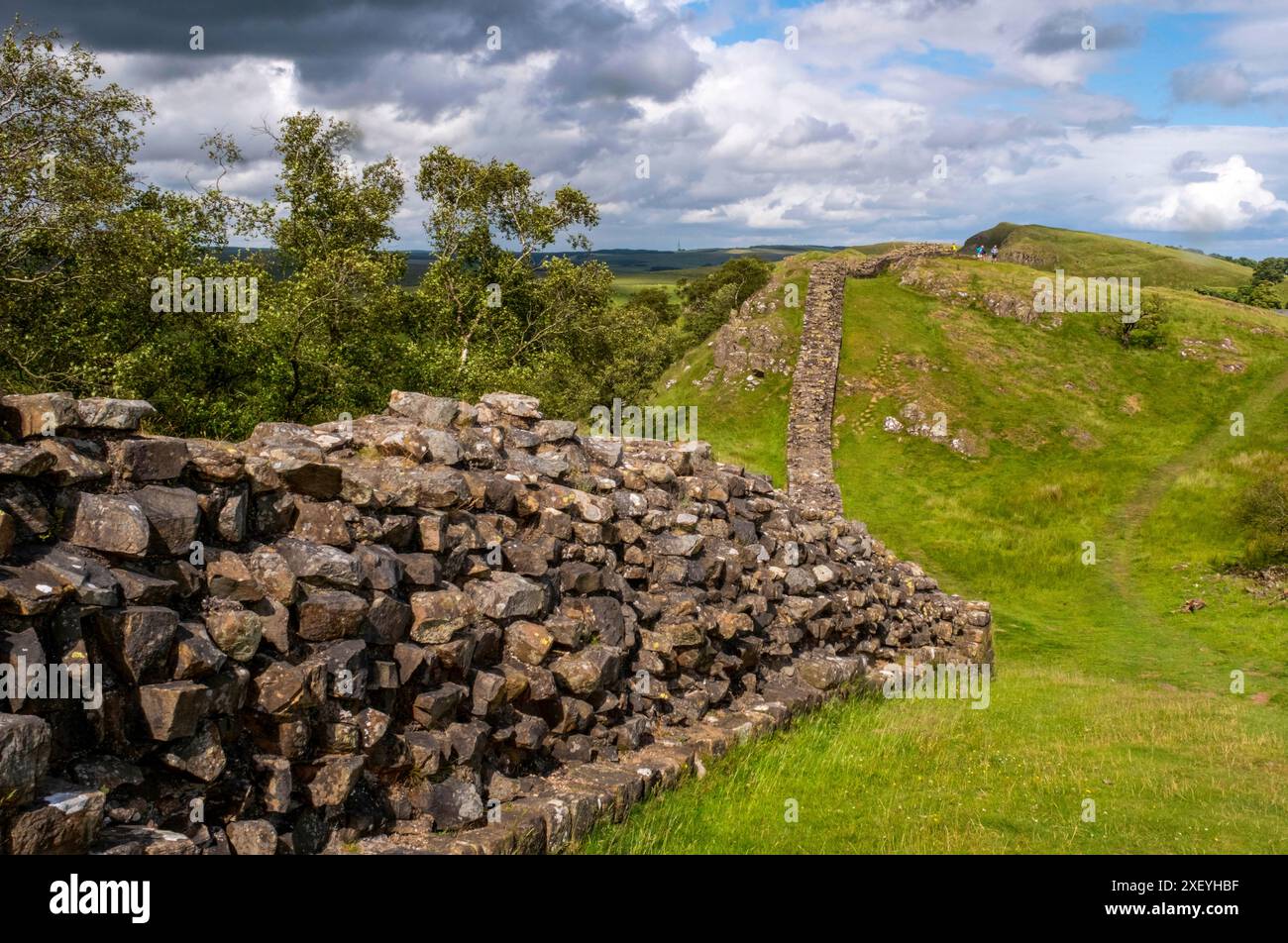 Section of Hadrian's Wall at Walltown Crags, Northumberland, England ...