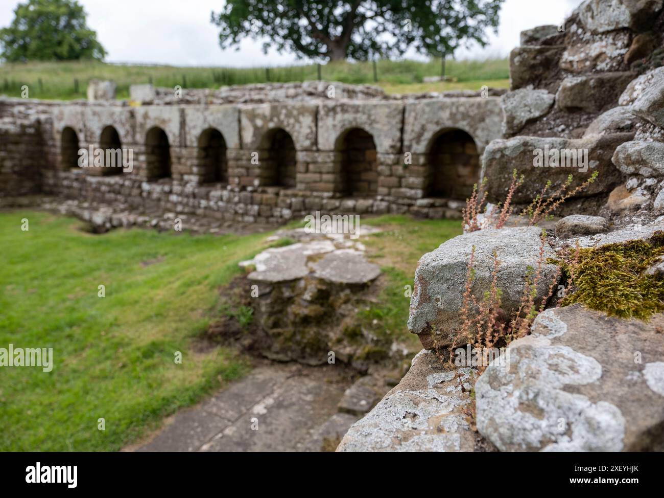 The apodyterium, changing room at Chesters Roman Bath House (Cilurnum ...