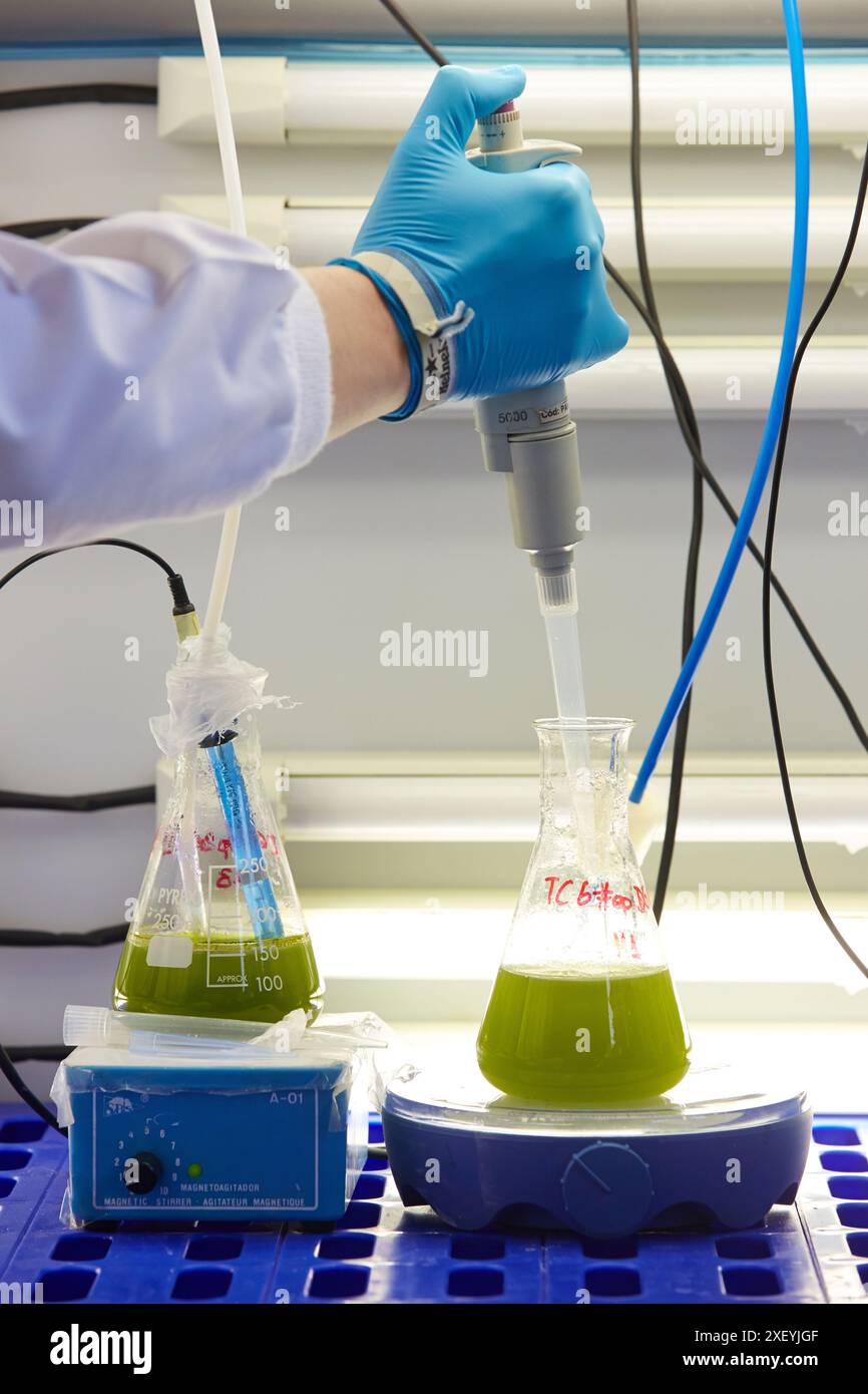 Culture erlenmeyer hi-res stock photography and images - Alamy