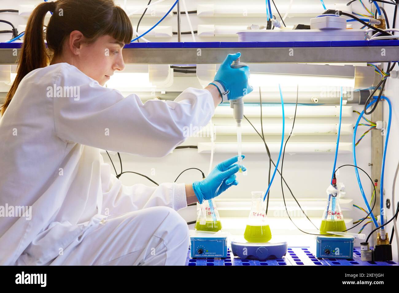 Culture erlenmeyer hi-res stock photography and images - Alamy