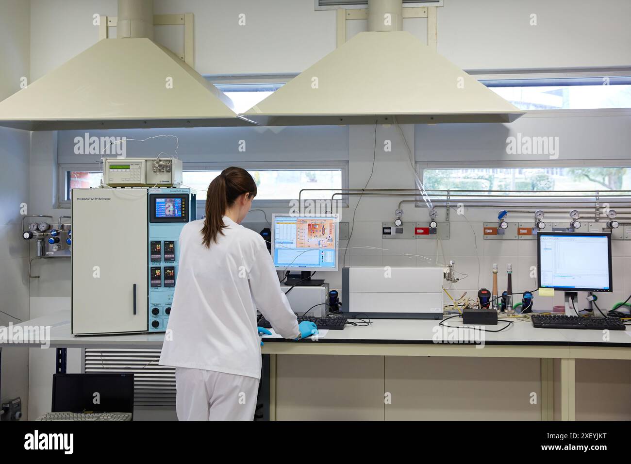 Micro GC. Microactivity. Automatic and computerized laboratory reactor ...