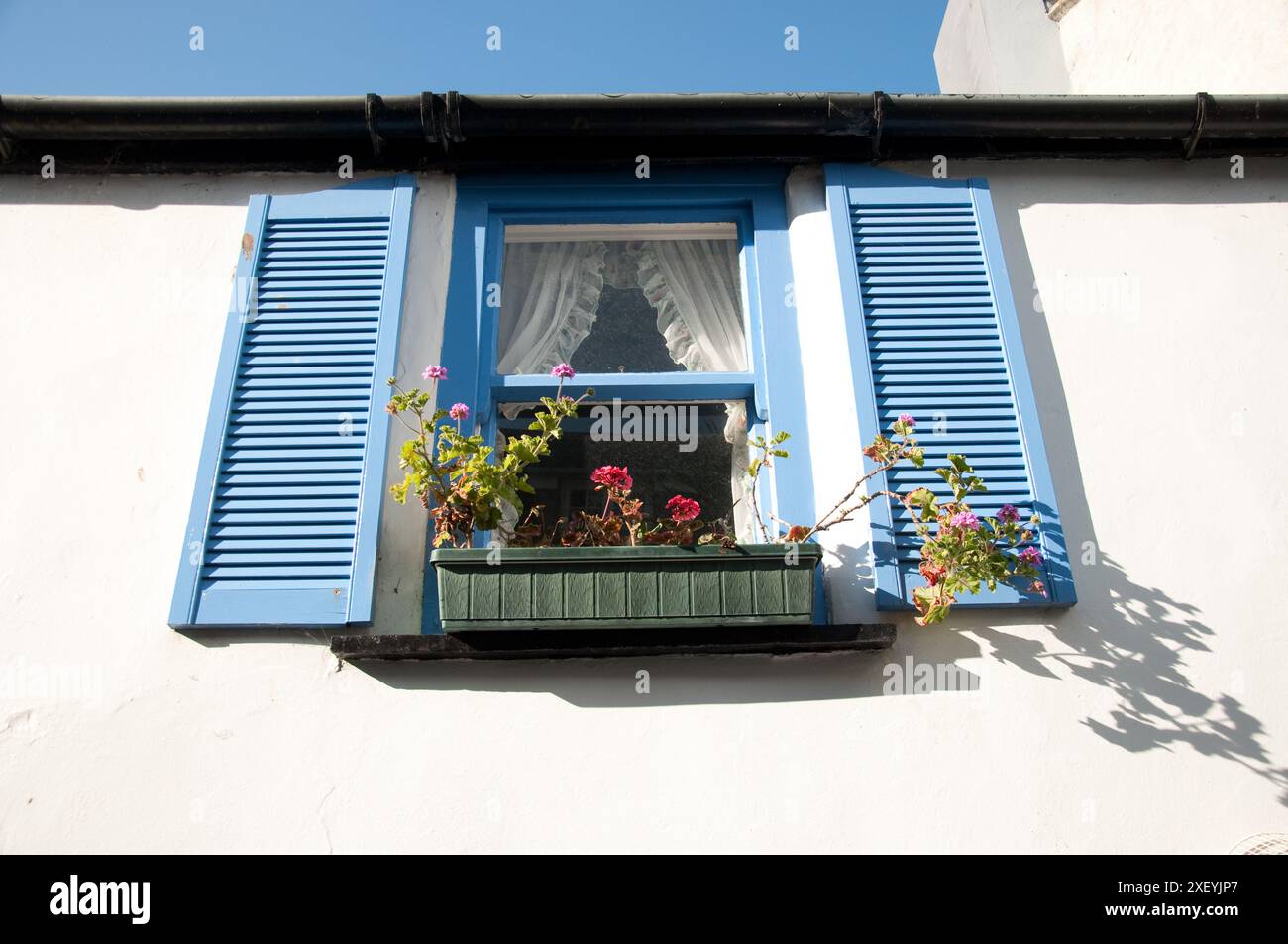Window, St Ives, Cornwall, UK - white wall and blue shutters matching ...