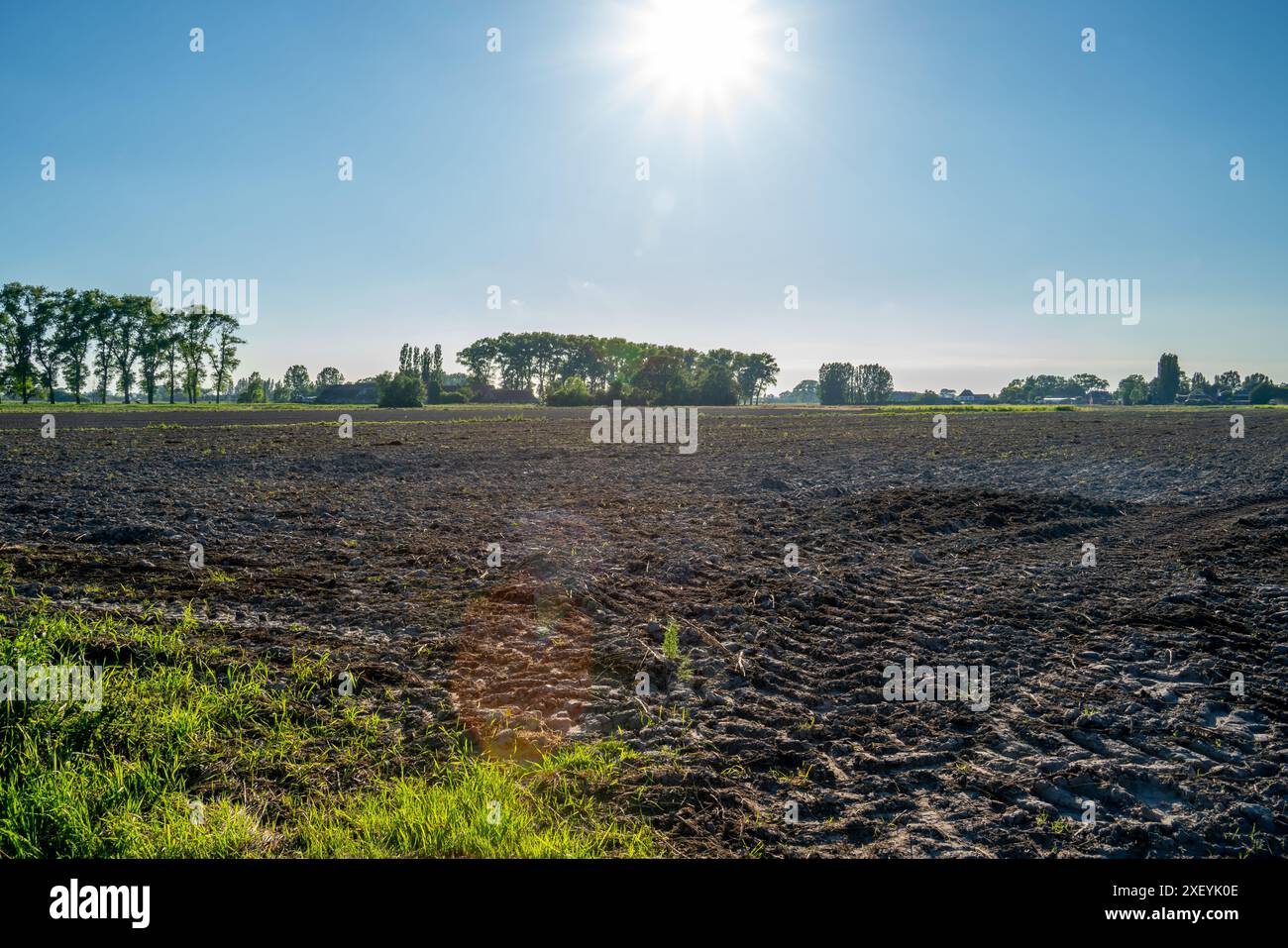 Rural landscape around sunset in the Westhoek, Belgium Stock Photo - Alamy