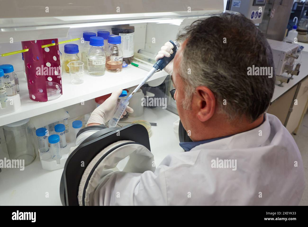 Anaerobic cabinet. Growth of anaerobic bacteria in the absence of ...