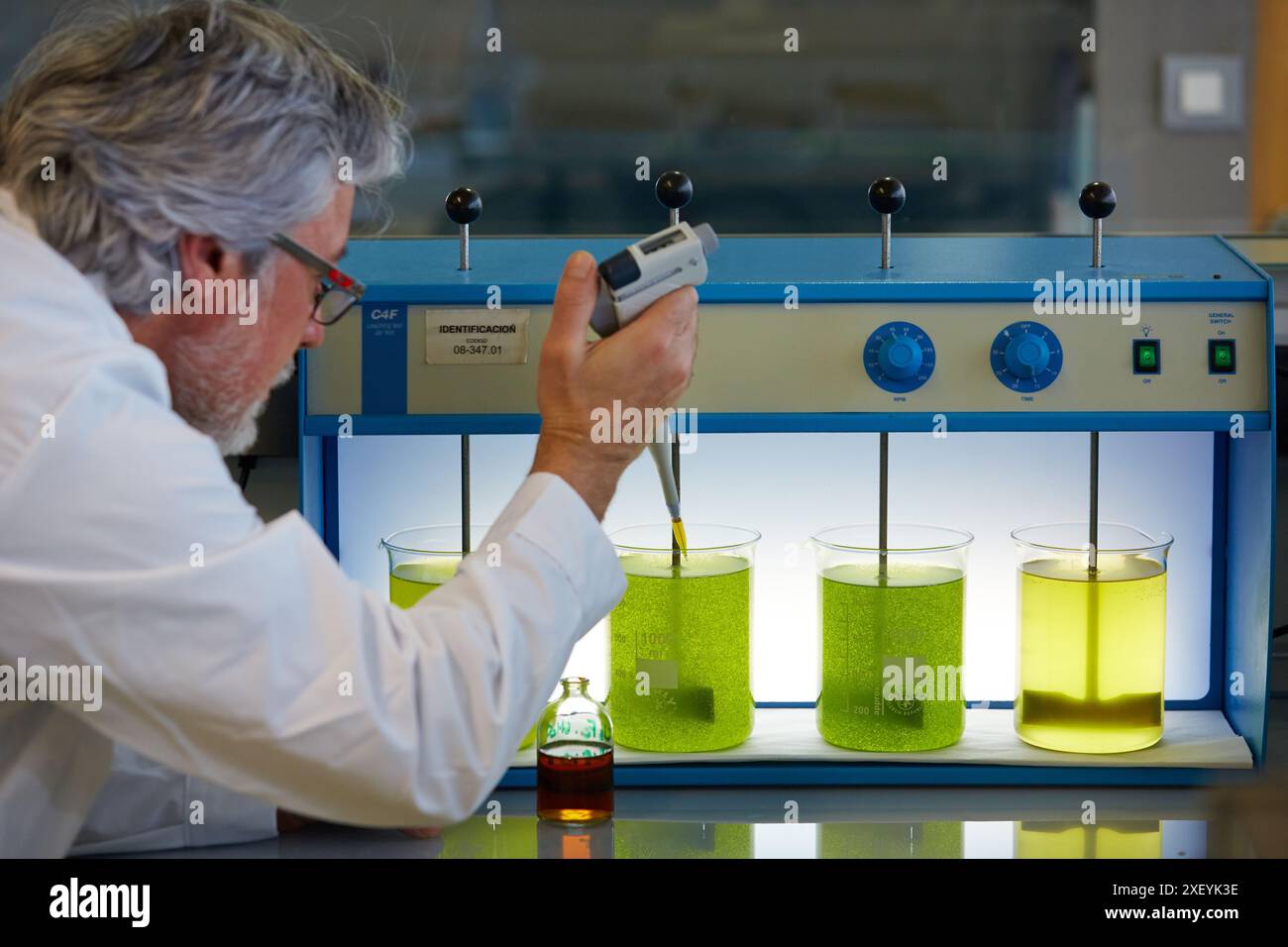 Flocculation tests. Precipitation of microalgae. Algae culture. Algae ...