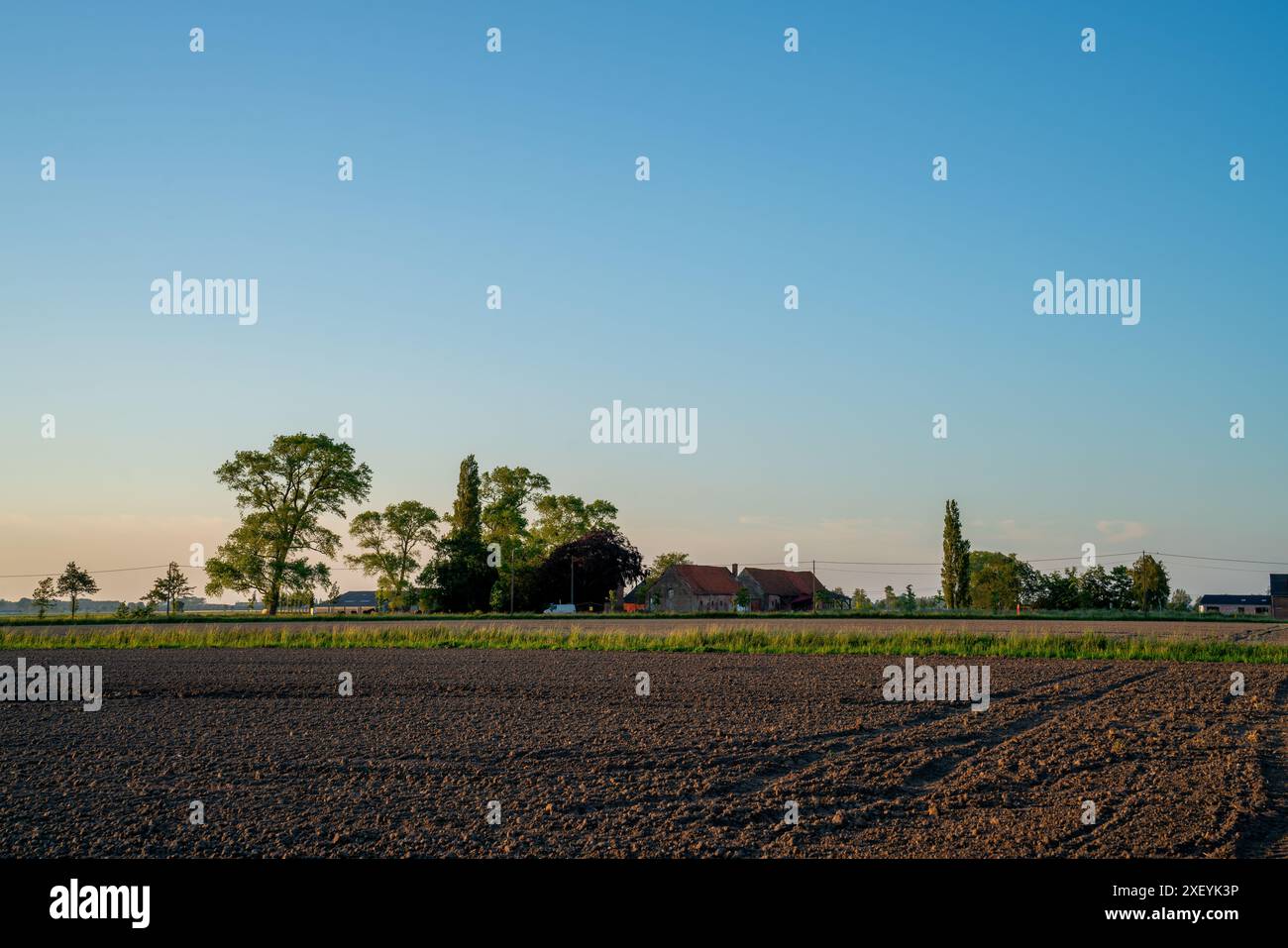 Rural landscape around sunset in the Westhoek, Belgium Stock Photo - Alamy