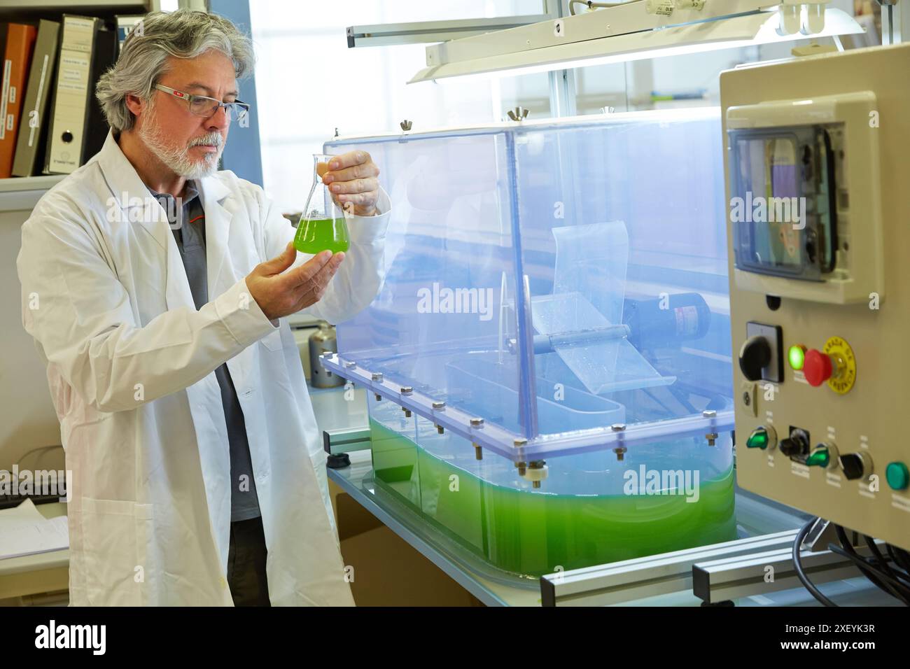Raceway. Reactor for microalgae cultivation. Algae biofuel research ...