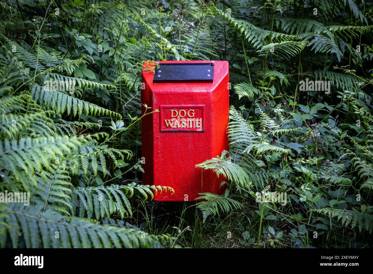 Dog poo bin excrement bin uk faeces hi-res stock photography and images ...