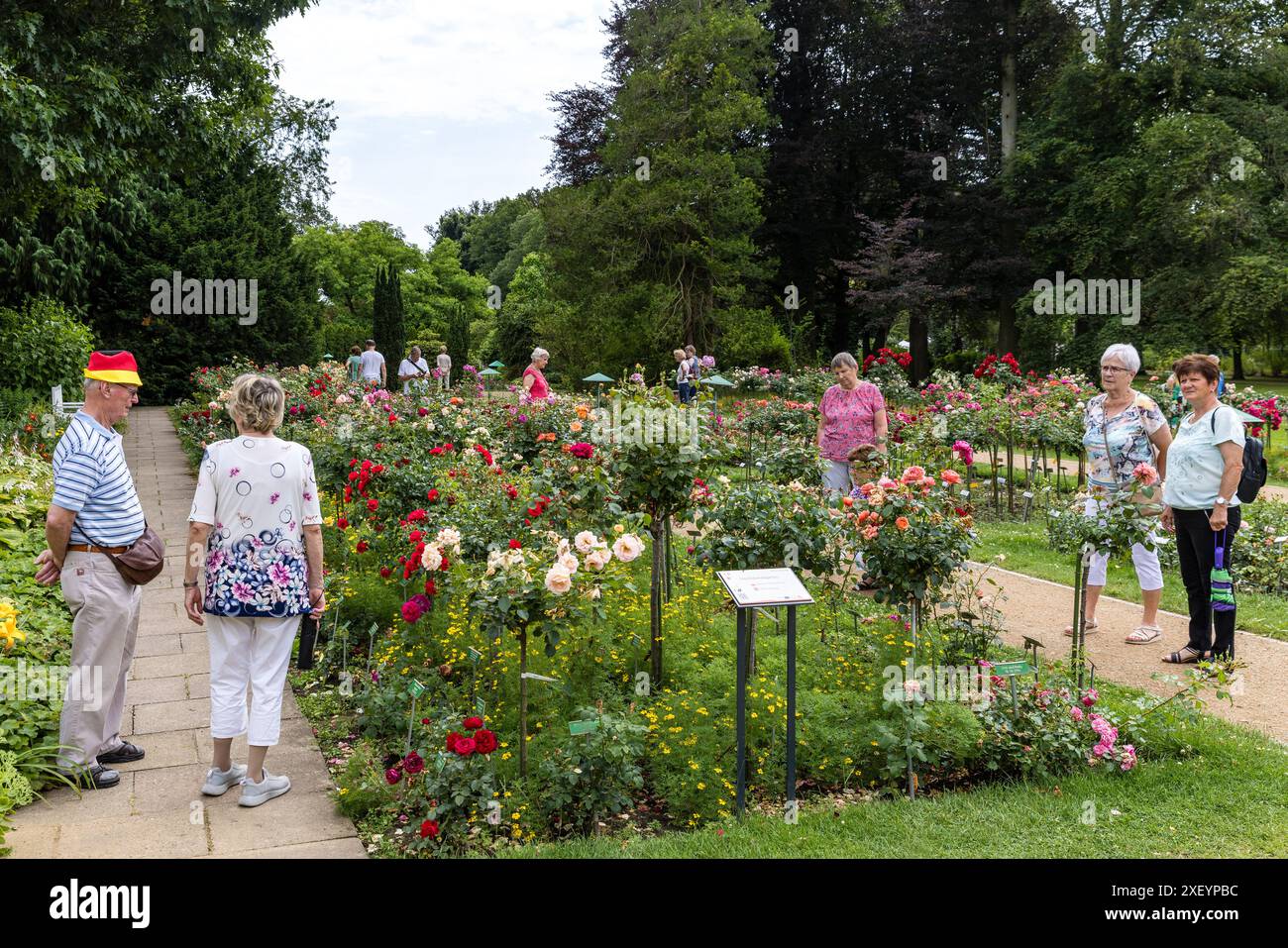30 June 2024, Brandenburg, Forst (Lausitz): people visit the Rose ...